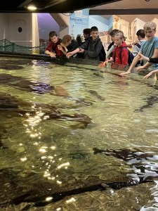 Immersive French trip sees language skills put to the test - Haslingden ...